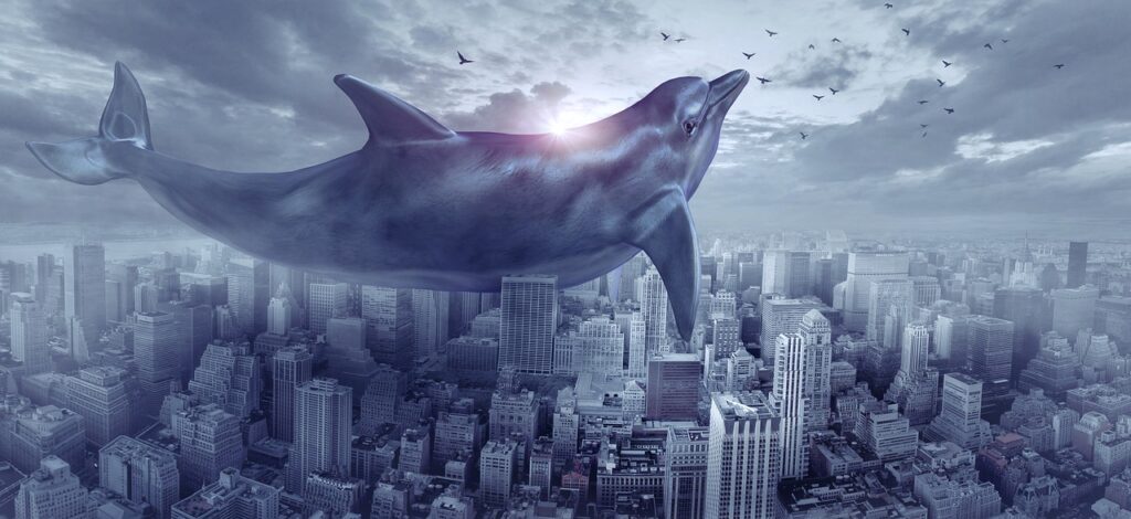 9 Dolphin Dream Interpretation | DreamChrist